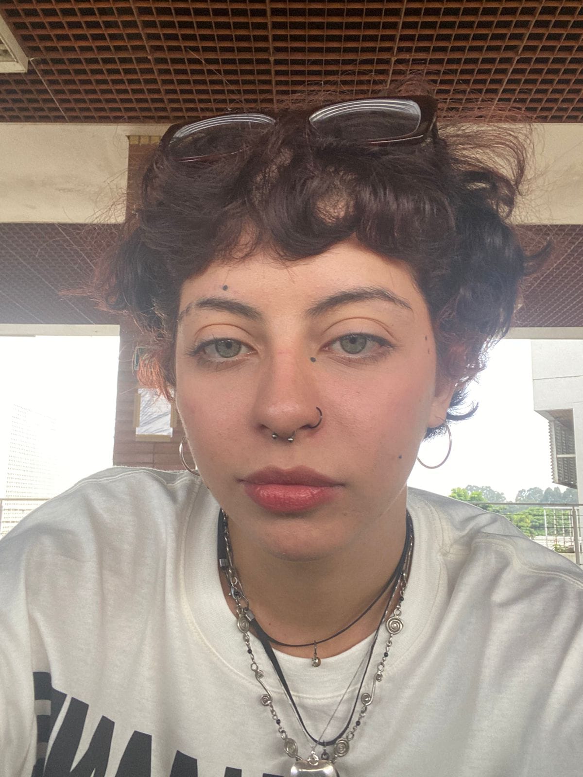 Laura Borges de Lima - Freelai